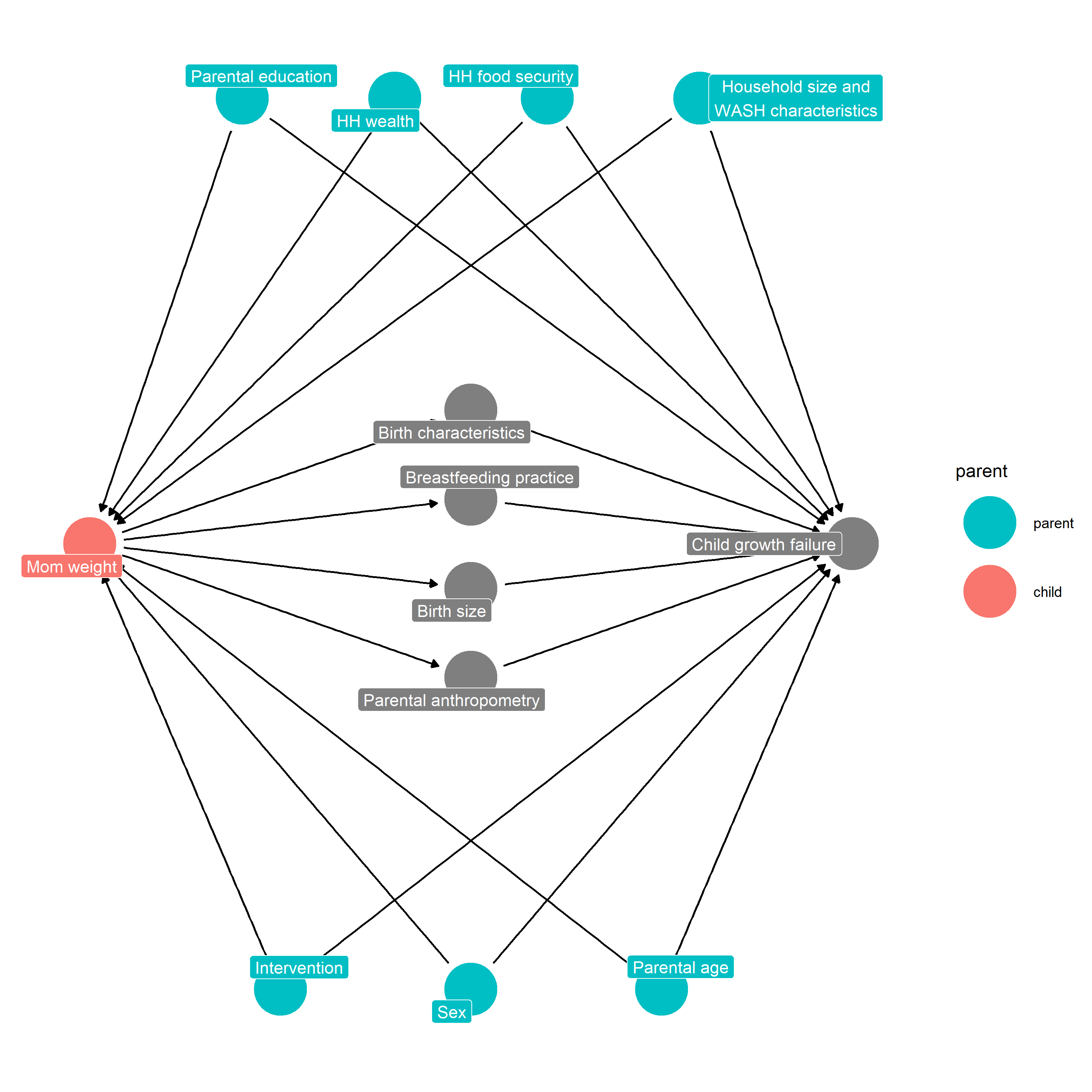 Chapter 13 Directed Acyclic Diagrams DAGs Supplement To Causes And Consequences Of Child 